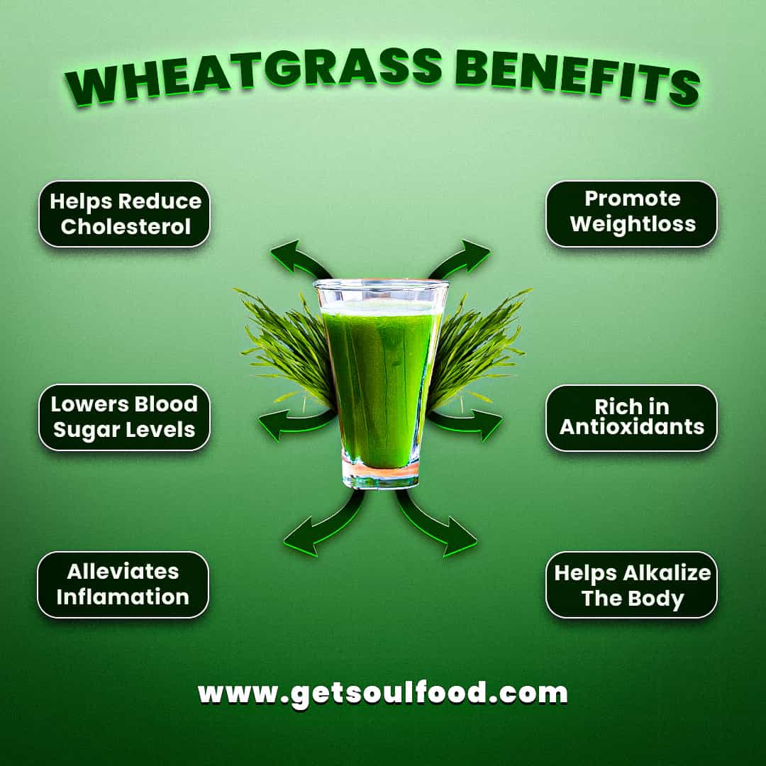 Organic Wheatgrass Juice Powder | The Superfood Juice Powder
